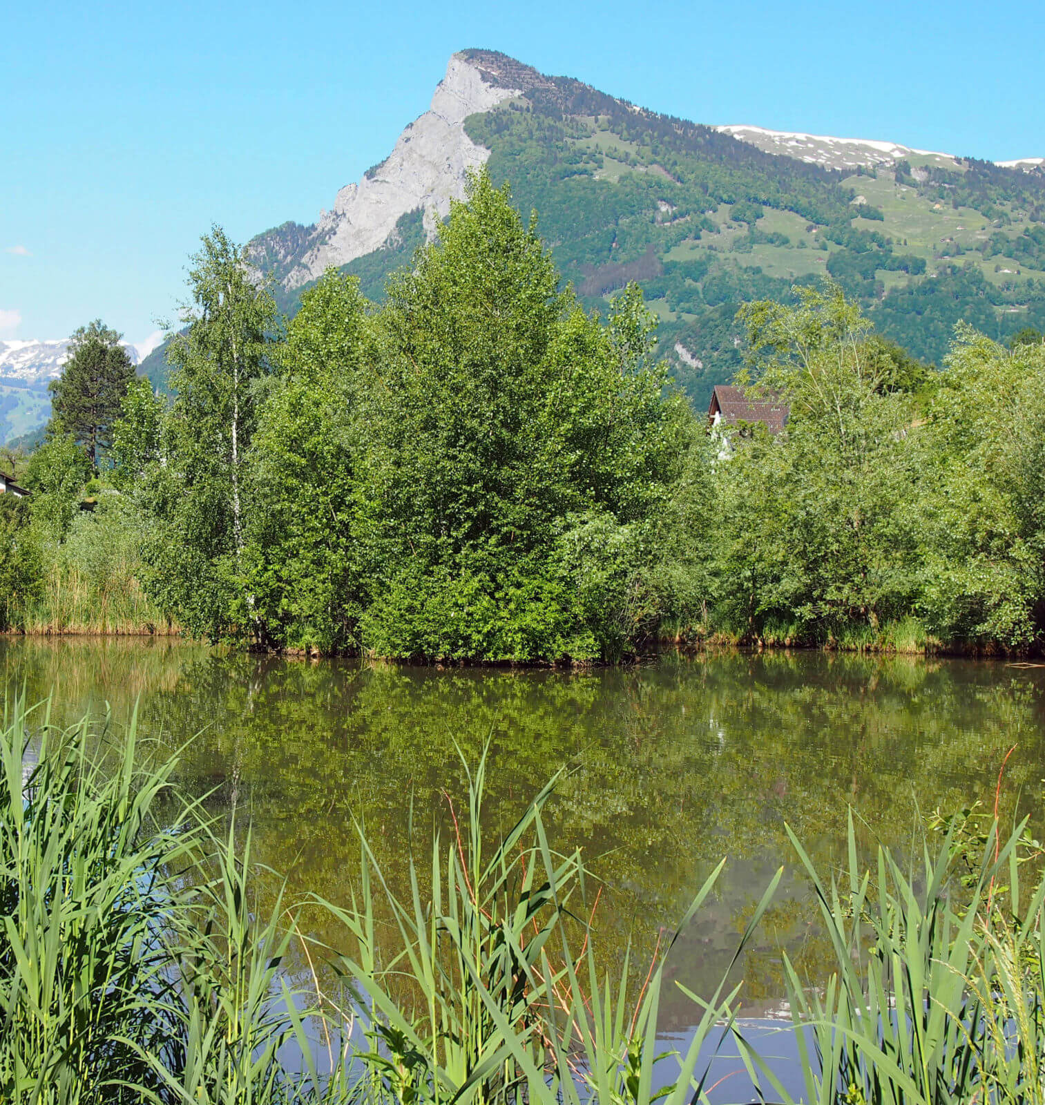 Sichten der Liechtensteiner Gewässer Teil I – Wasserrettung Liechtenstein